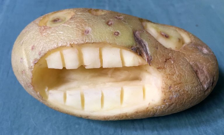 Projects – Create More, Fear Less